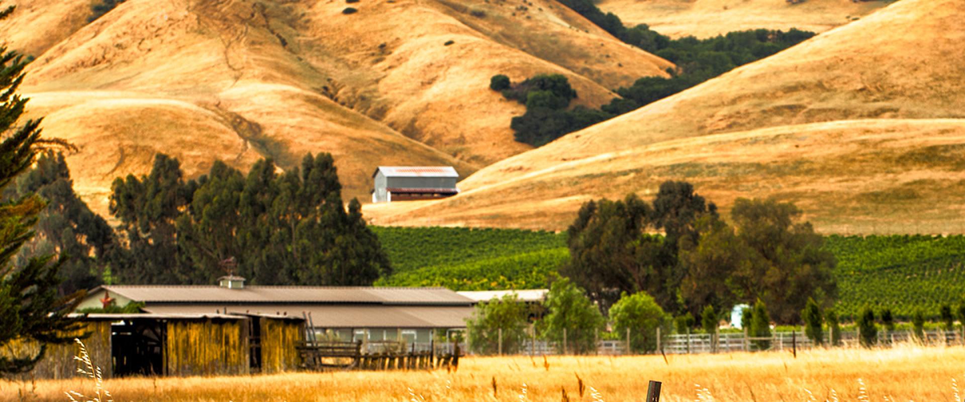 Home | Lane Florence LLC